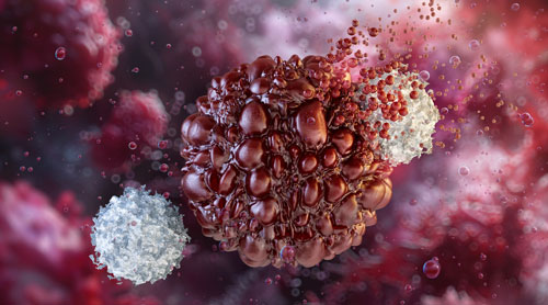 Cell Cannibalism: An Appetite for Cancer | Bio-Rad